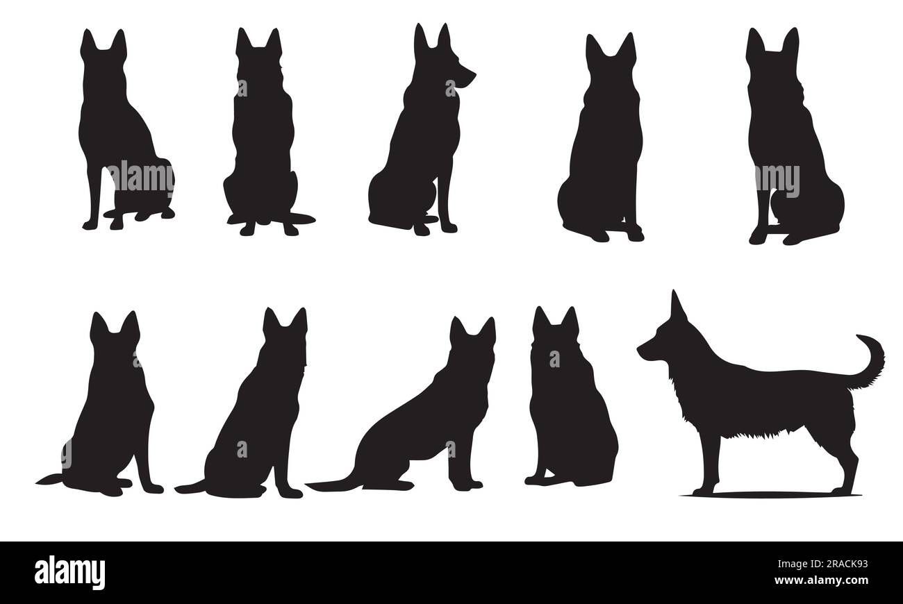 Animali eleganti Immagini Vettoriali Stock - Alamy