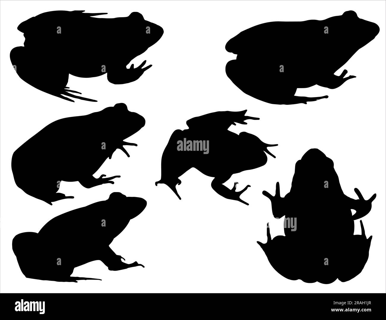Silhouette di rana Foto e Immagini Stock in Bianco e Nero - Alamy