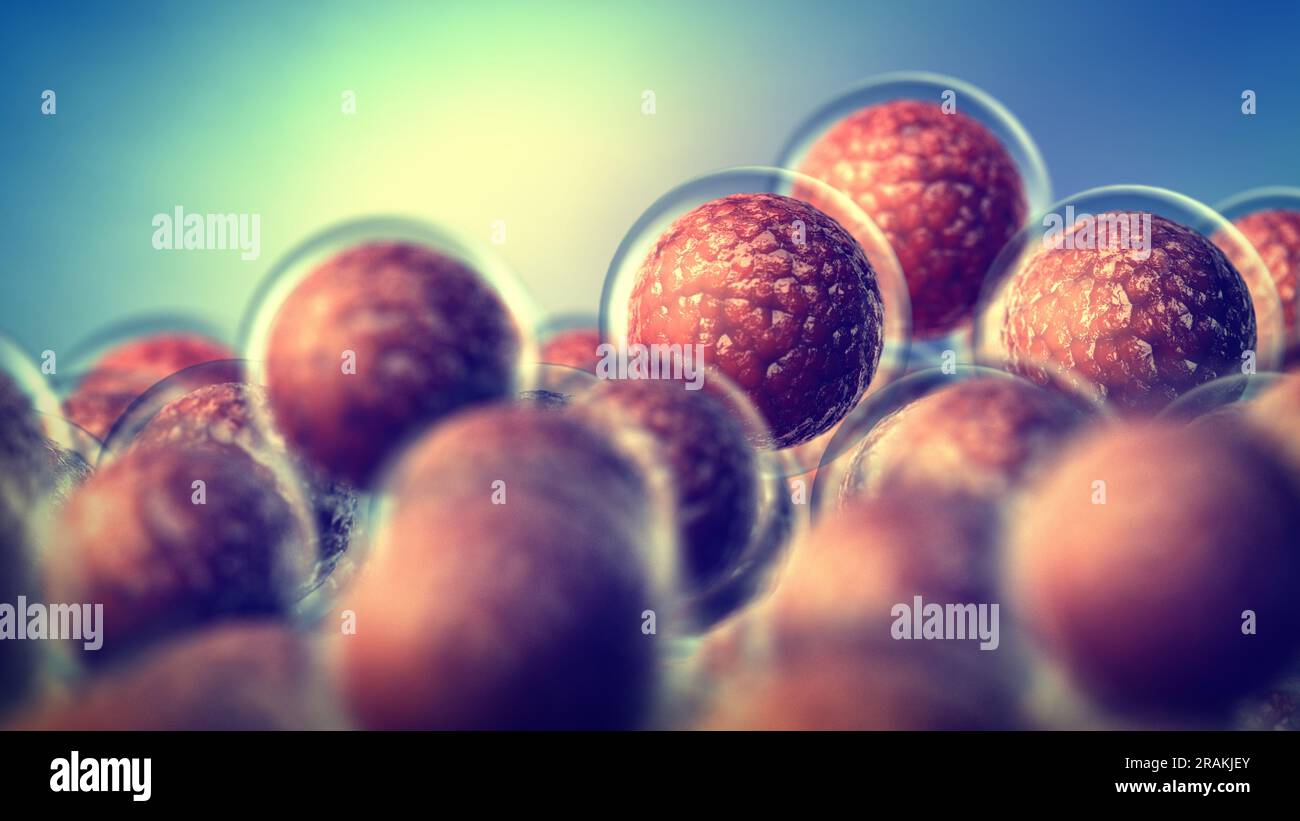 Danni al sistema immunitario immagini e fotografie stock ad alta ...