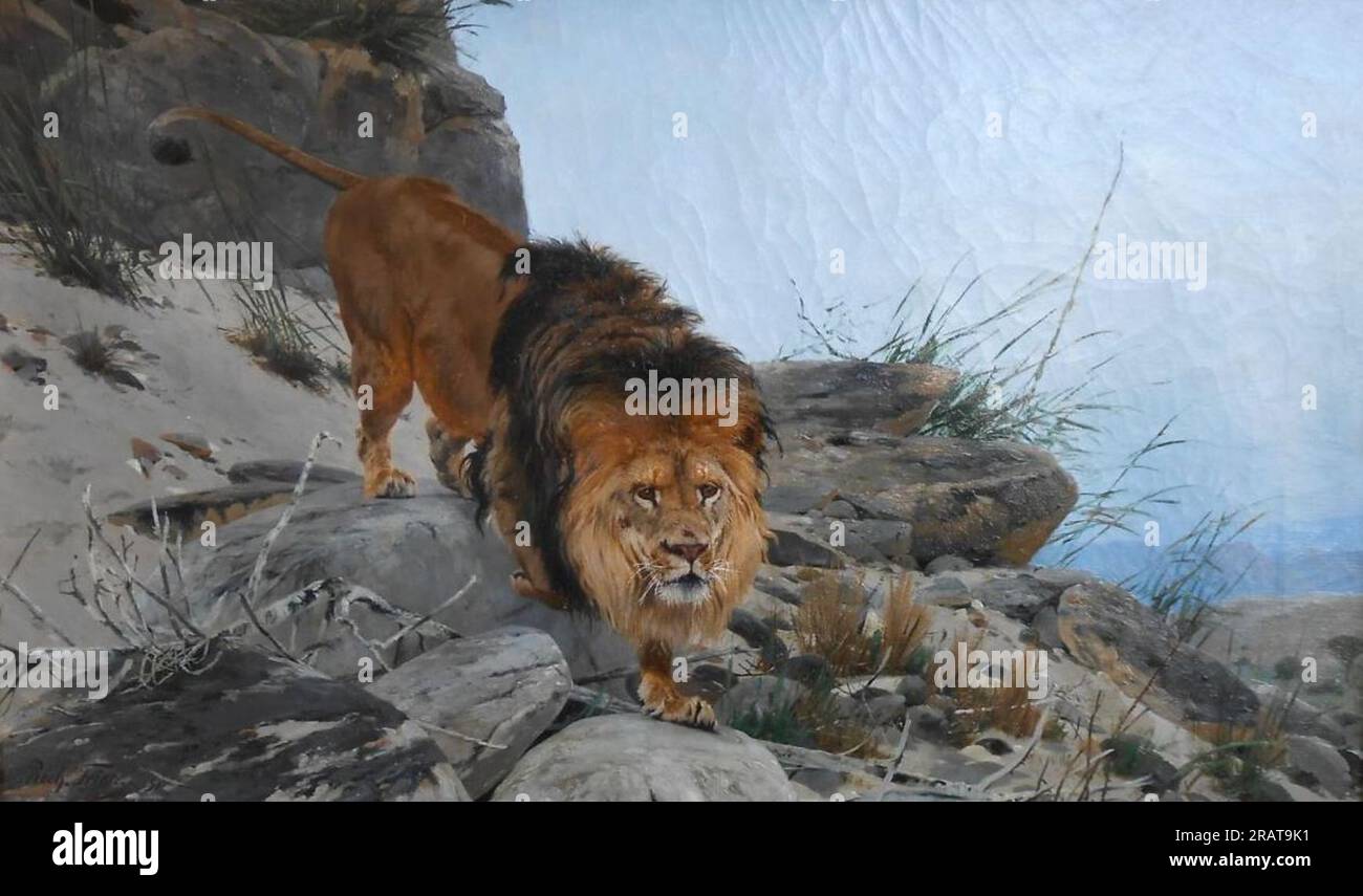 Re riccardo il leone di leone immagini e fotografie stock ad alta ...