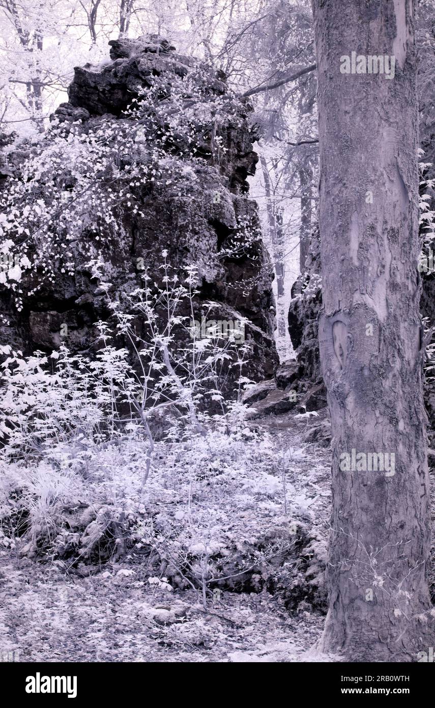 Geoparco westerwald lahn taunus immagini e fotografie stock ad alta ...