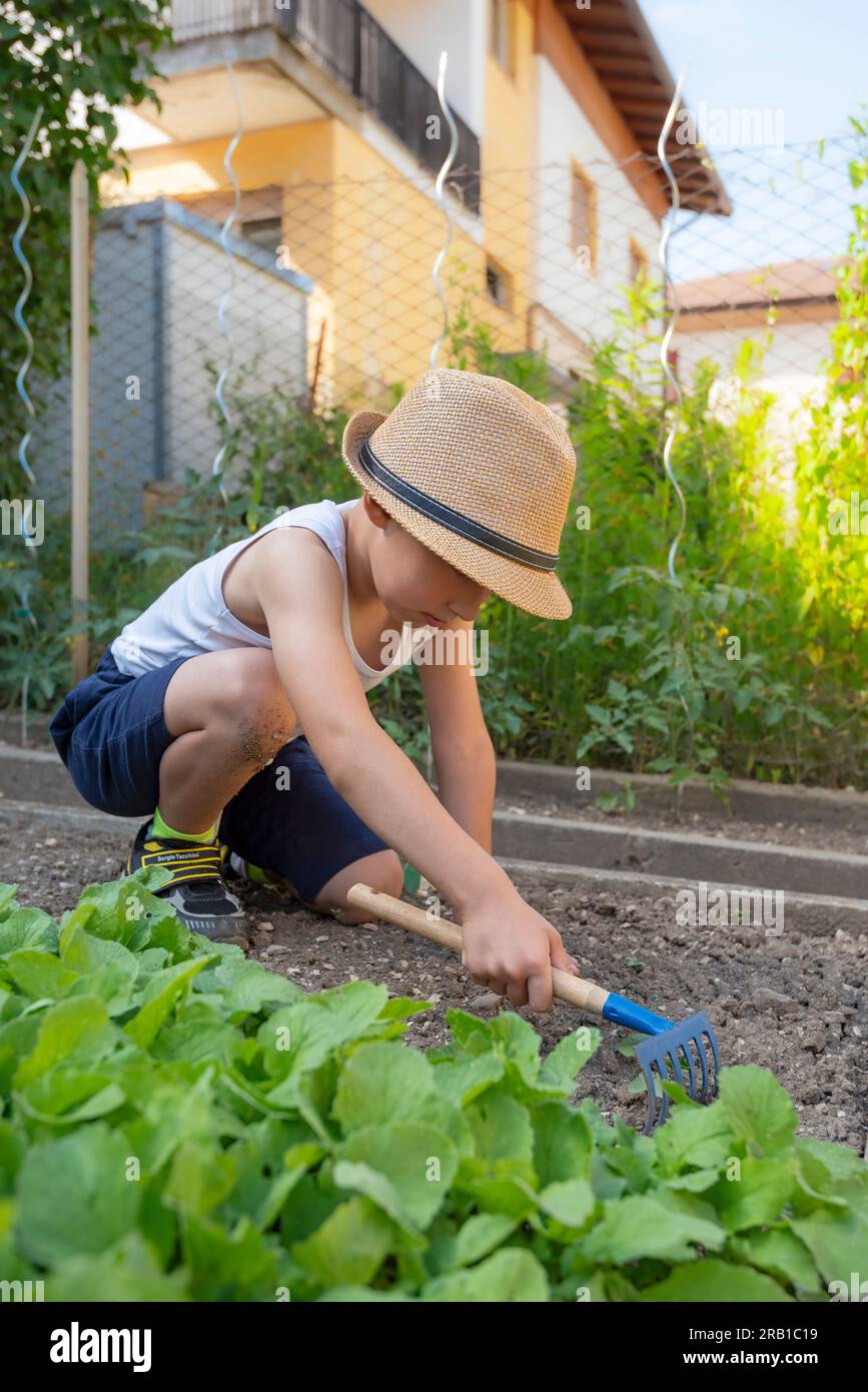 Insegnare ai bambini come coltivare un orto europa immagini e fotografie stock ad alta ...