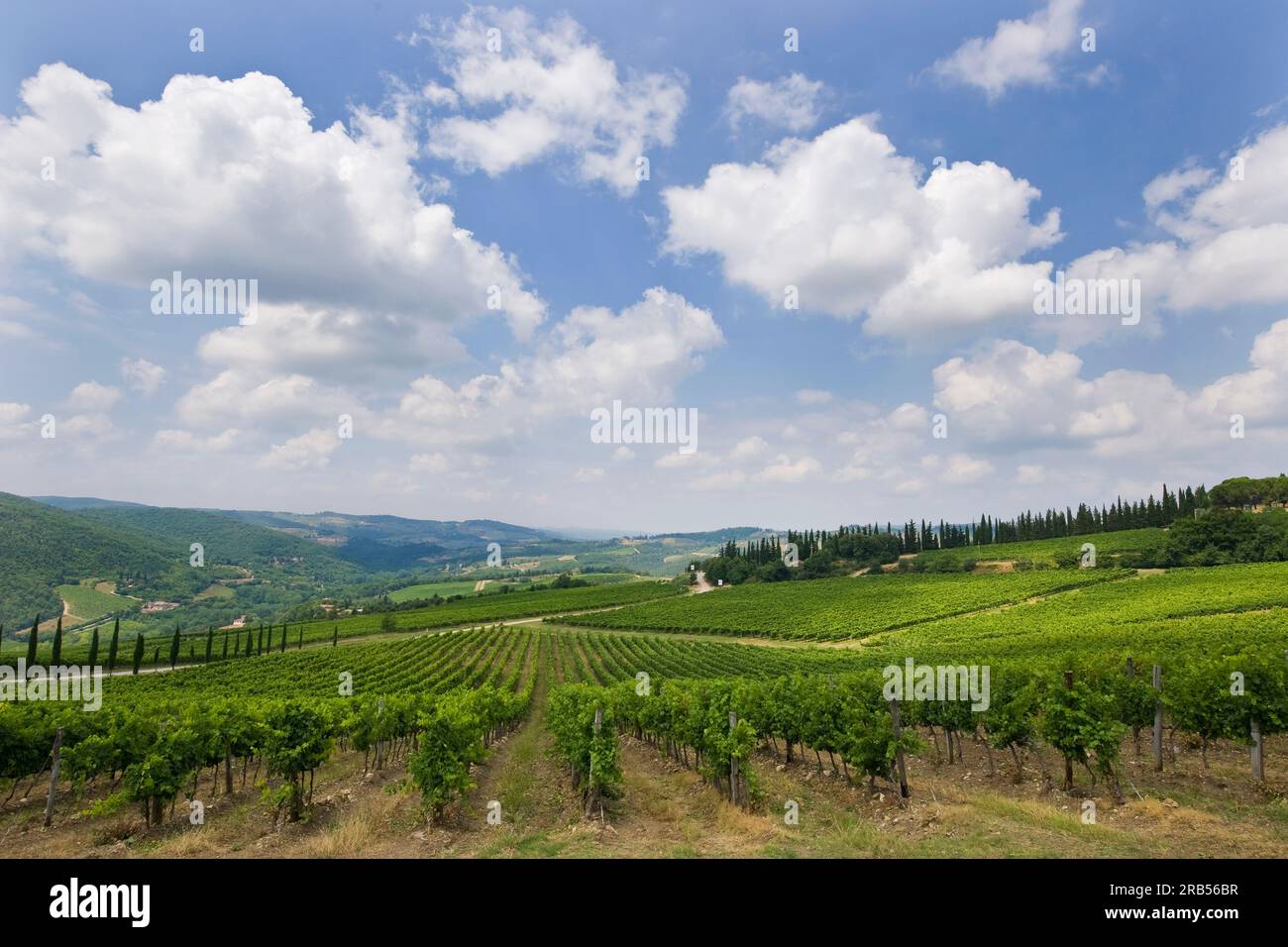Vigneti chianti immagini e fotografie stock ad alta risoluzione - Alamy