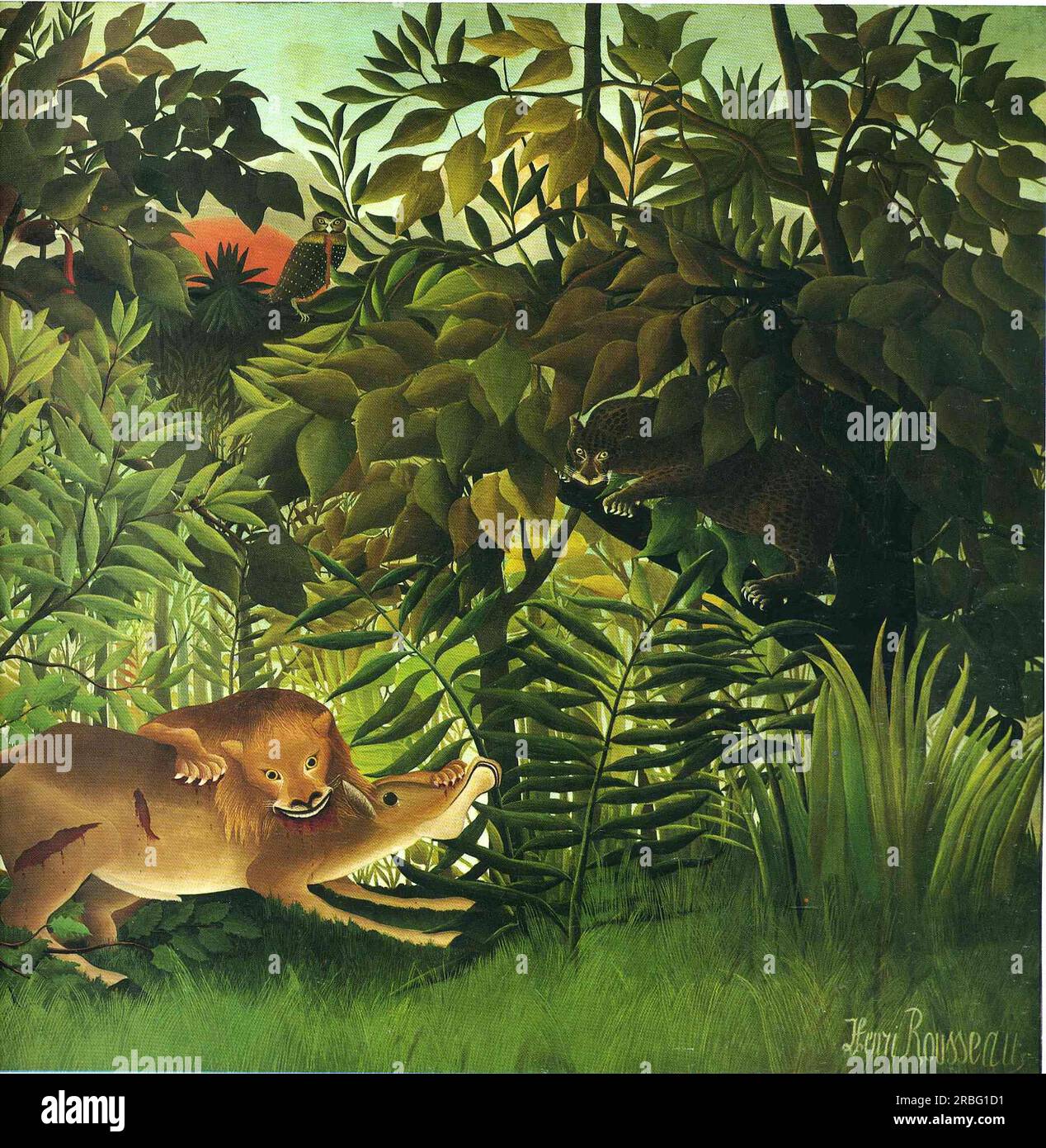 Leone che divora la preda immagini e fotografie stock ad alta ...