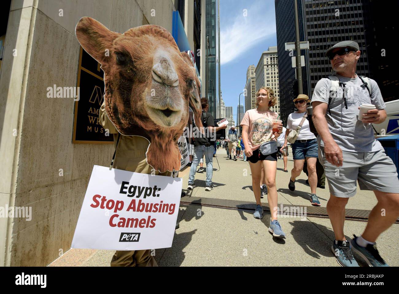 Photo by: PETA/STAR MAX/IPx 2023 PETA supporters wearing giant camel ...