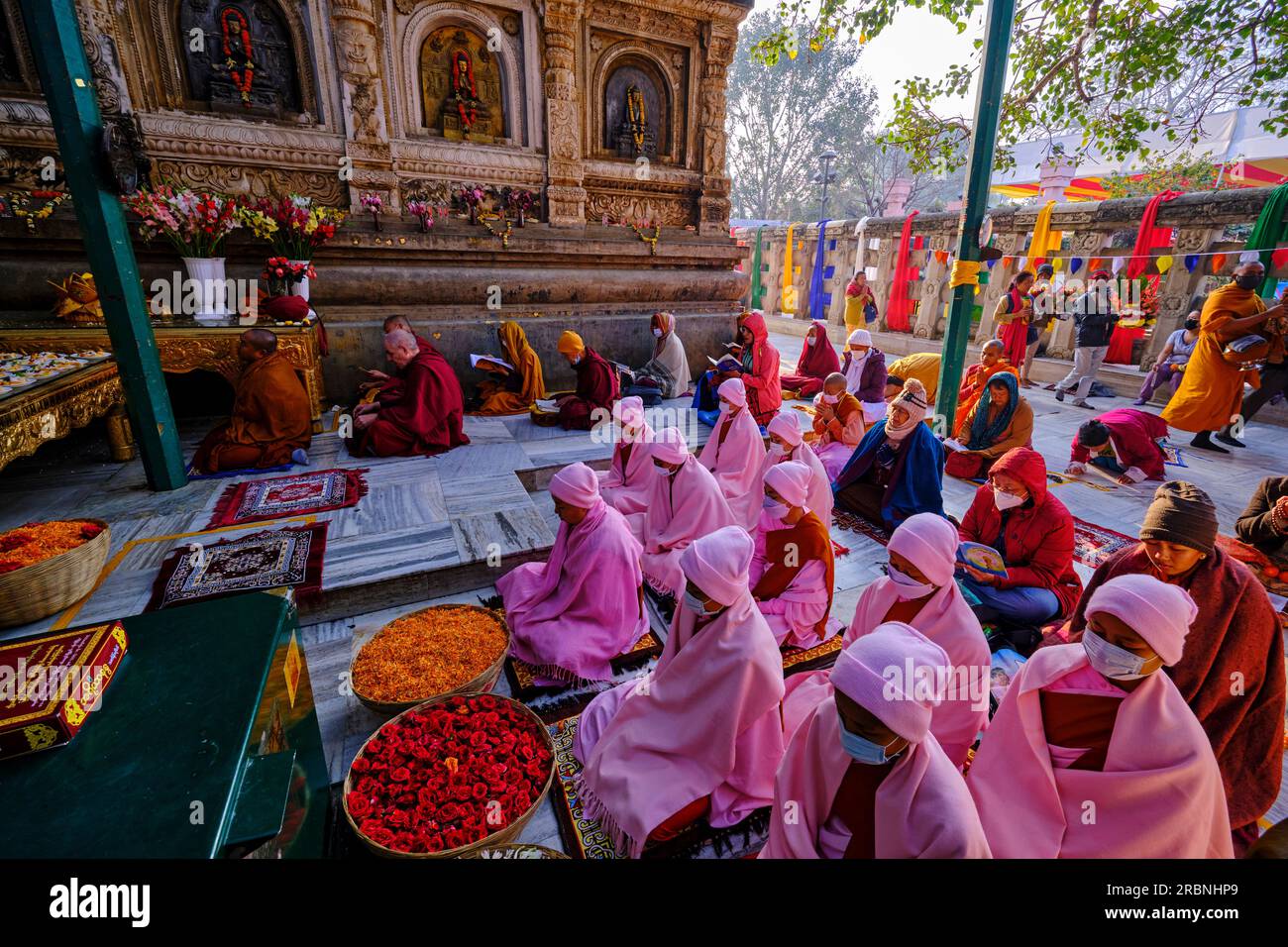 A burmese buddhist monk in meditation immagini e fotografie stock ad ...