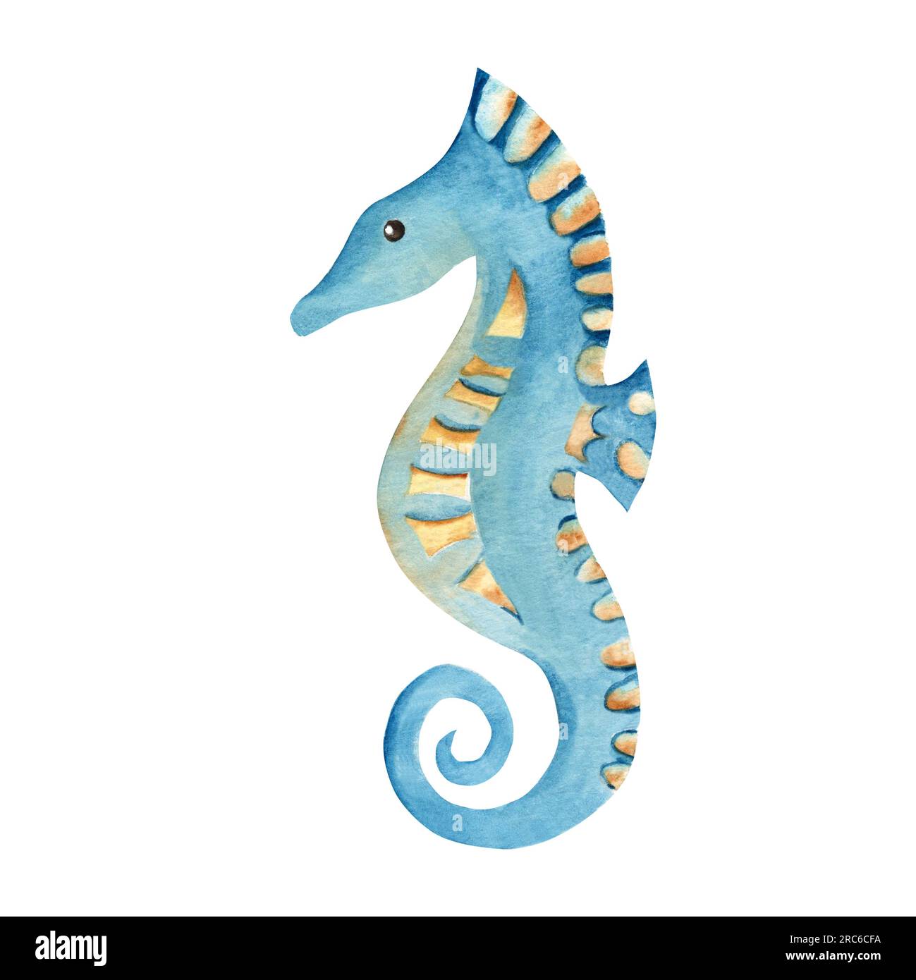 Carta cavalluccio marino immagini e fotografie stock ad alta ...