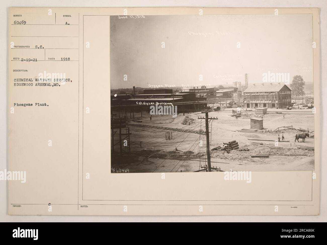 Simbolo della pianta del fosgene immagini e fotografie stock ad alta ...