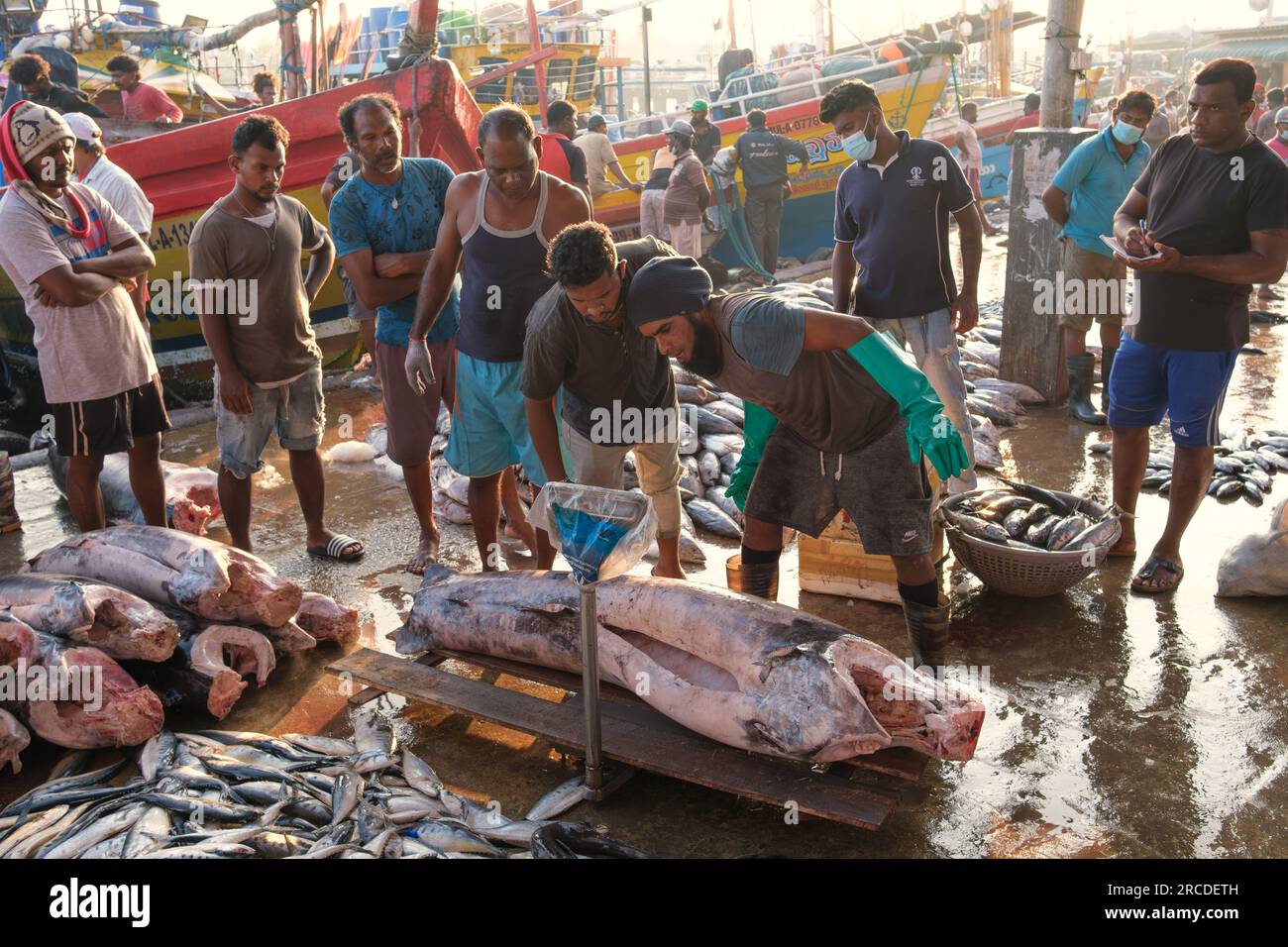 Negombo town immagini e fotografie stock ad alta risoluzione - Alamy