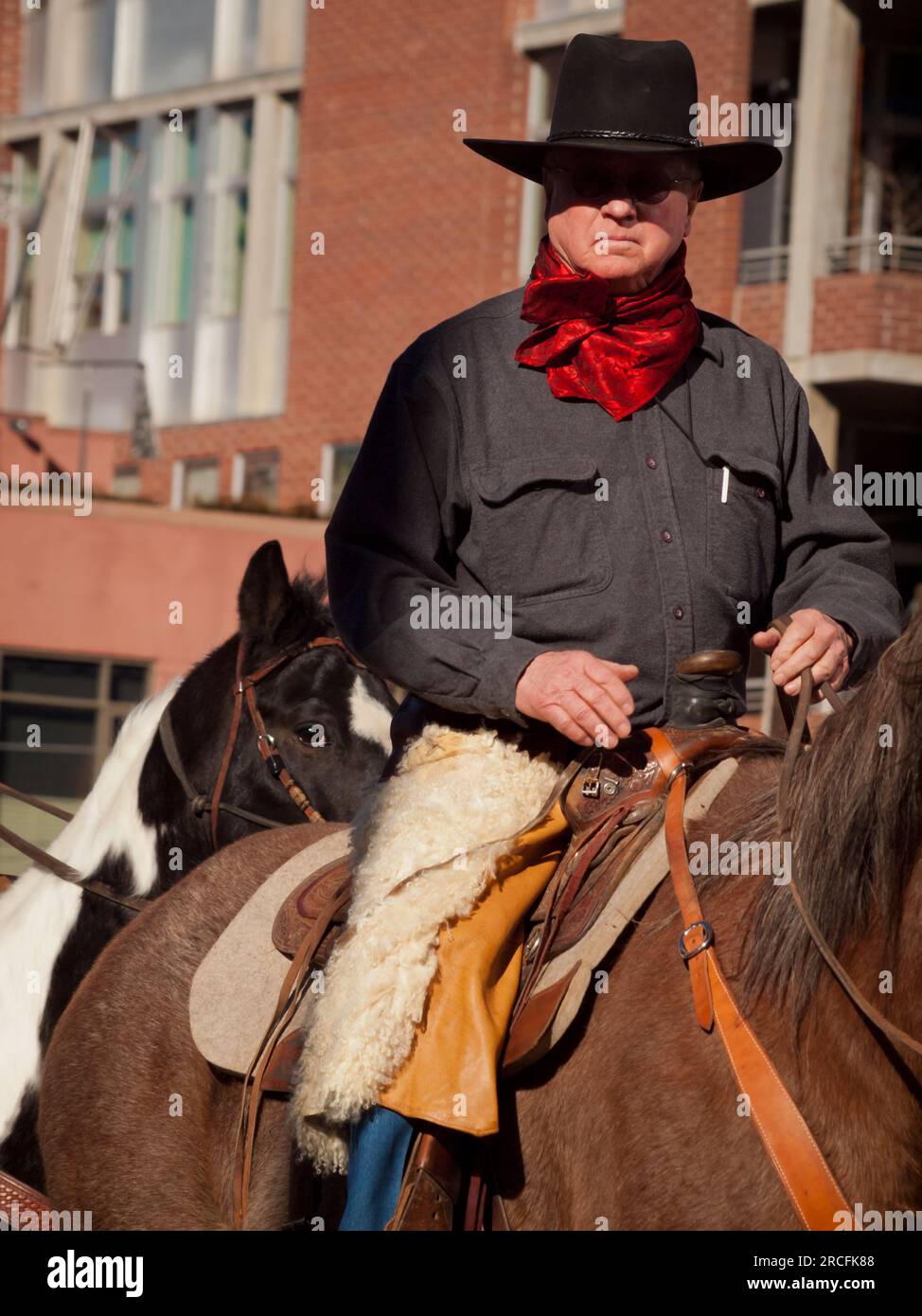 Cowboy della città con il suo cavallo bianco immagini e fotografie ...