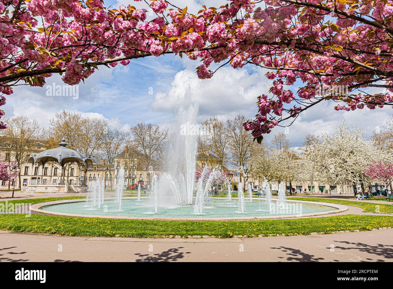 La Place Wilson à Dijon aux couleurs du printemps et ses cerisiers ...