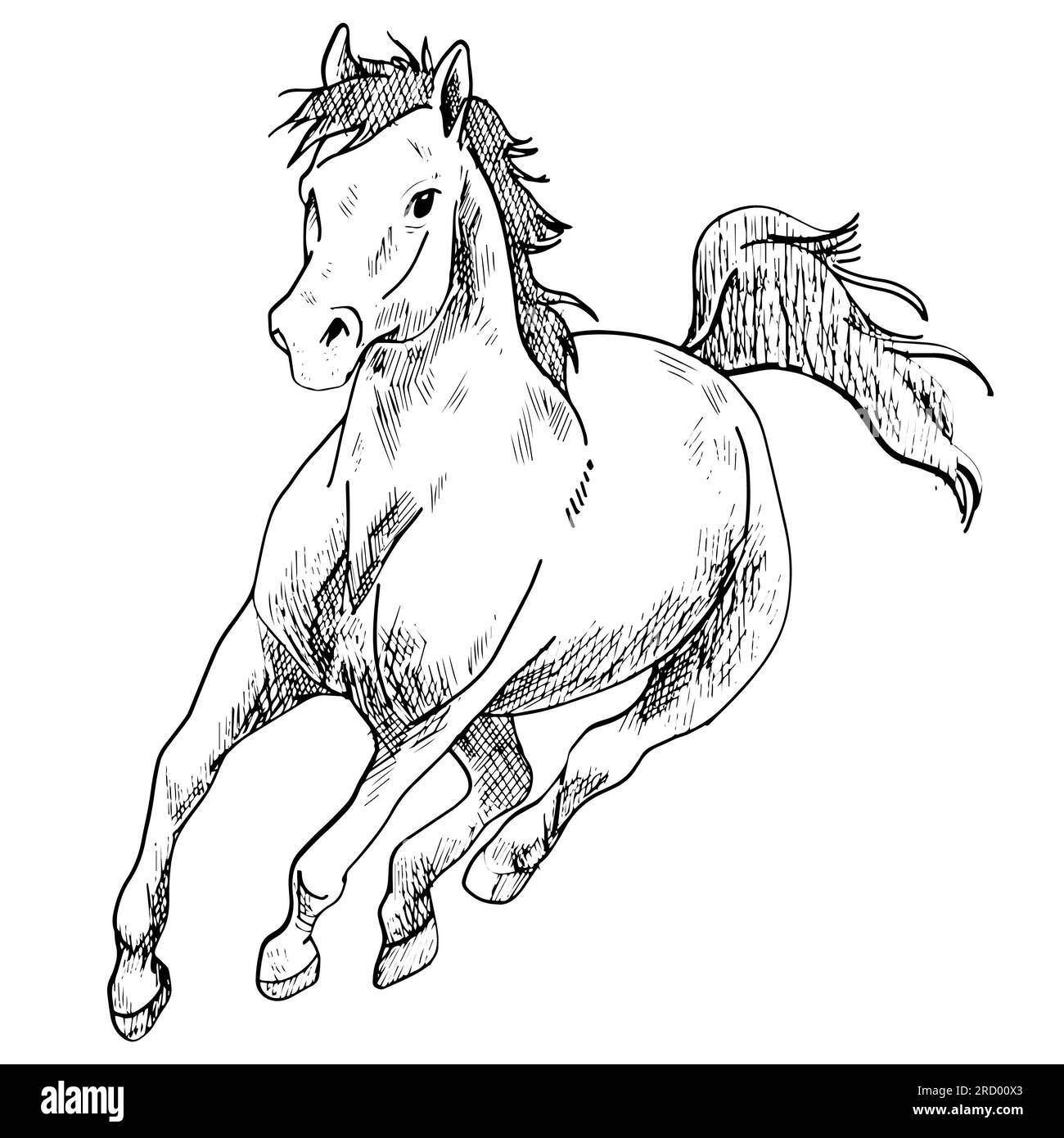 Cavallo disegno da colorare Foto e Immagini Stock in Bianco e Nero - Alamy