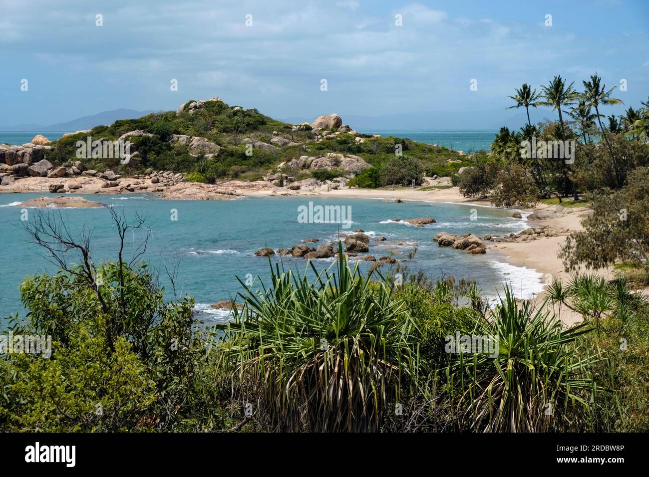 Tropical north queensland immagini e fotografie stock ad alta ...
