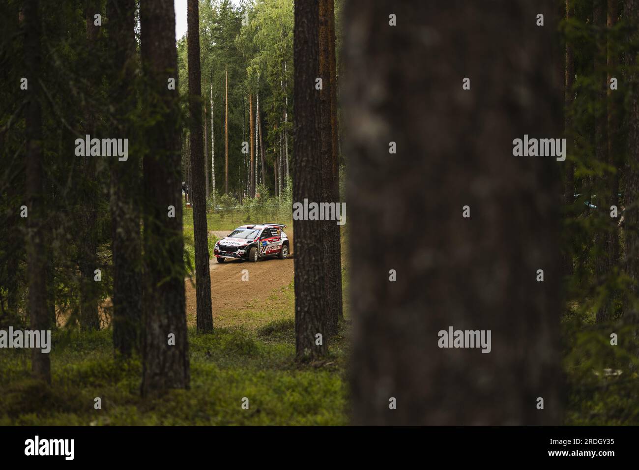 29 Miko MARCZYK (POL), Szymon GOSPODARCZYK (POL), SKODA FABIA RS, RC2, Rally2, Azione durante il ...