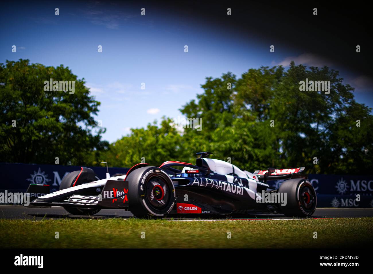 #03 Daniel Ricciardo, (AUS) Alpha Tauri, Honda durante il GP d'Ungheria ...