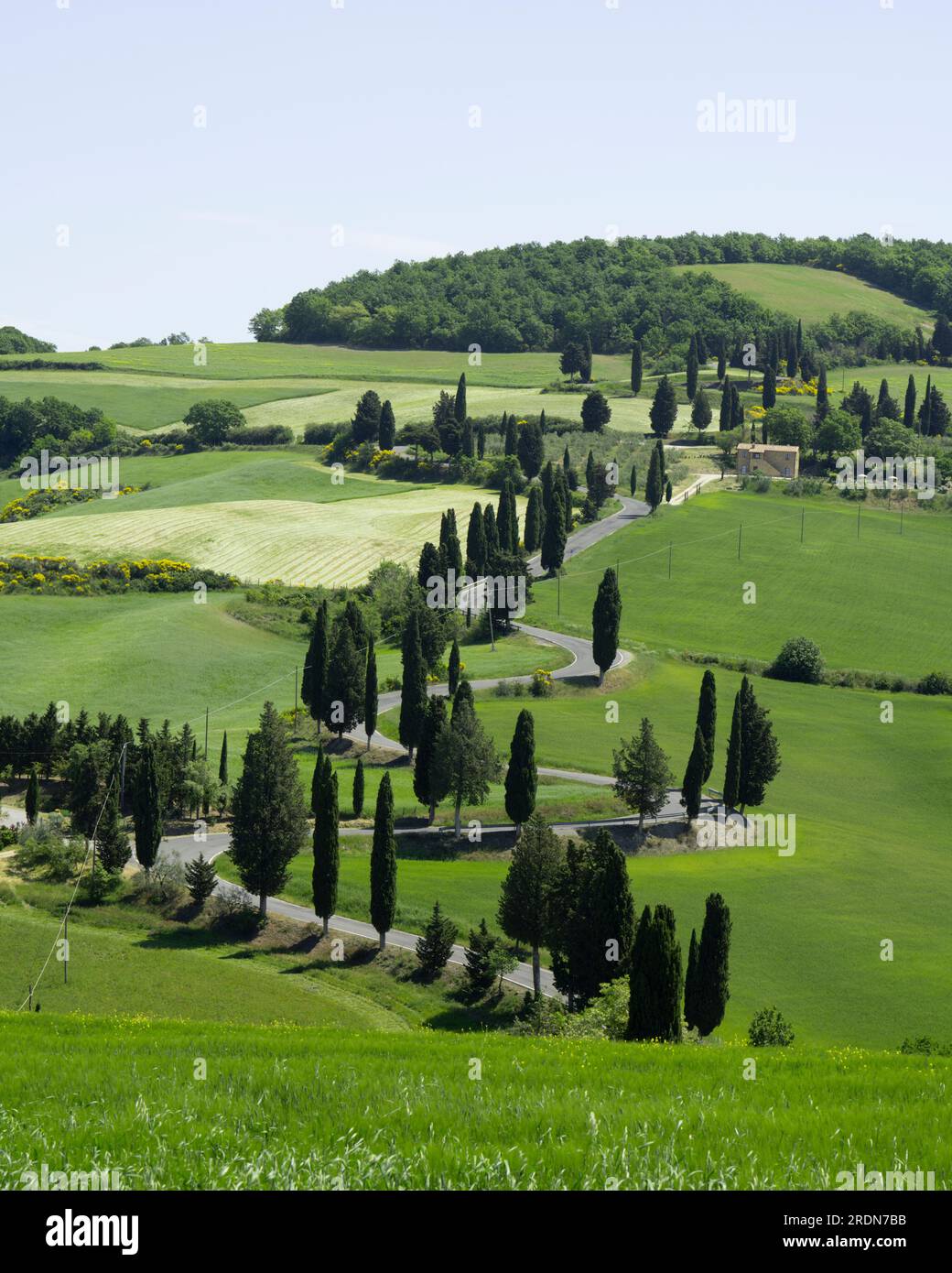 Strada alberata di cipressi in toscana immagini e fotografie stock ad ...