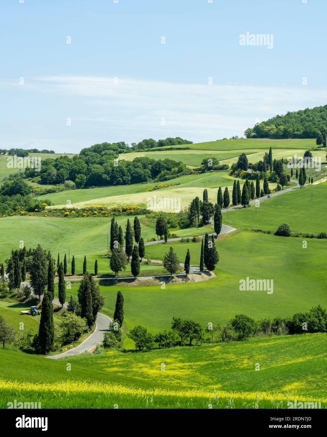 Strada alberata di cipressi in toscana immagini e fotografie stock ad ...