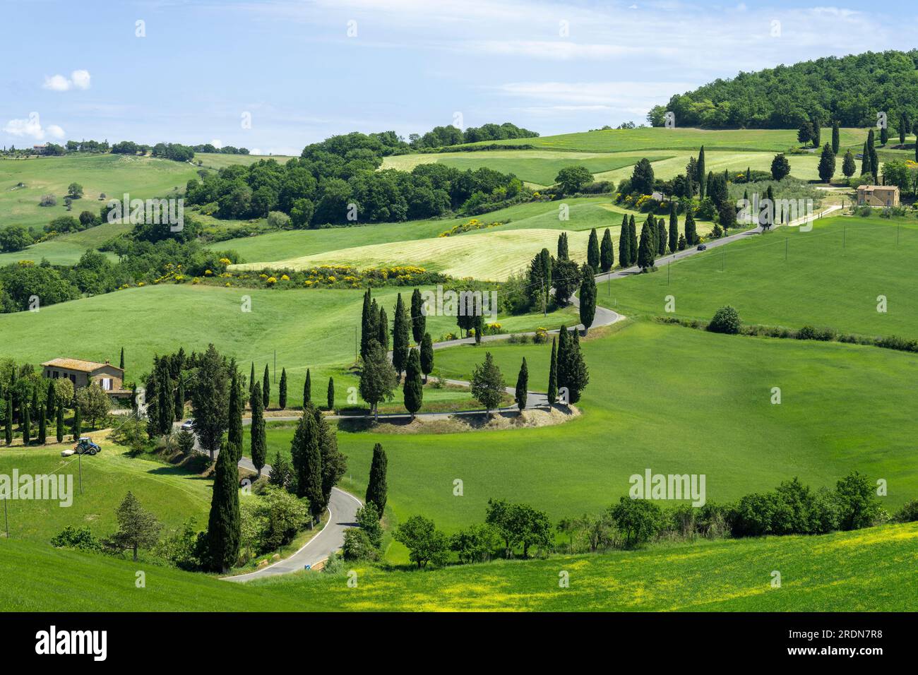 Strada alberata di cipressi in toscana immagini e fotografie stock ad ...