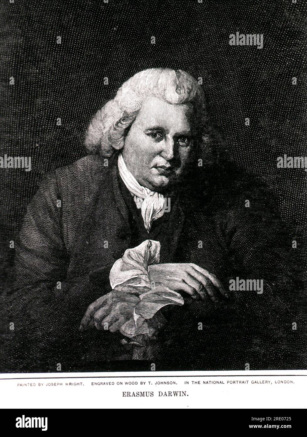 Evolution darwin immagini e fotografie stock ad alta risoluzione - Alamy