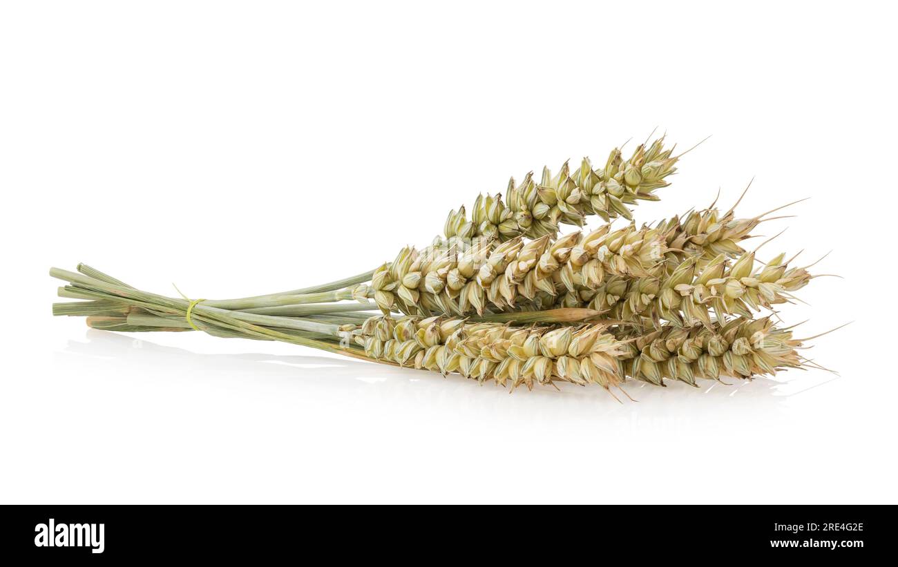 Spighe e grano di segale Immagini senza sfondo e Foto Stock ritagliate ...