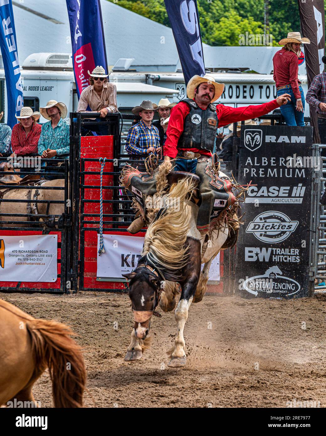 Giovane cavaliere di tori immagini e fotografie stock ad alta ...