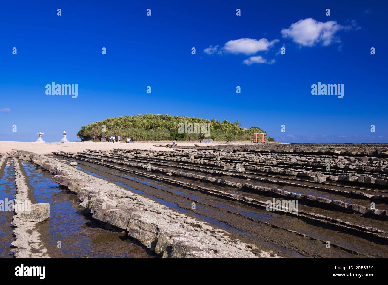 Aoshima jinja immagini e fotografie stock ad alta risoluzione - Alamy