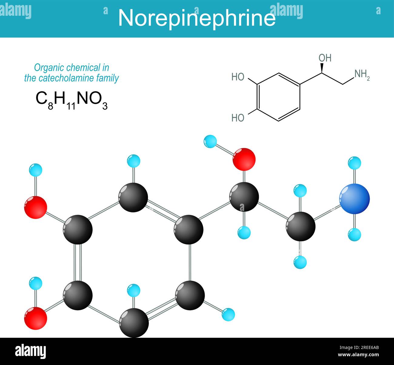 Molecola di norepinefrina. formula strutturale chimica molecolare e ...