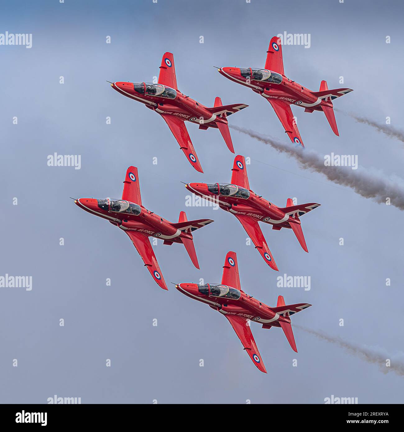 Falco getti veloci immagini e fotografie stock ad alta risoluzione - Alamy