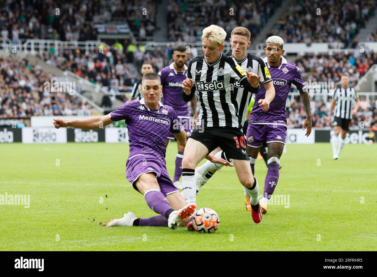 Anthony Gordon (centro) del Newcastle United e Nikola Milenkovic ...