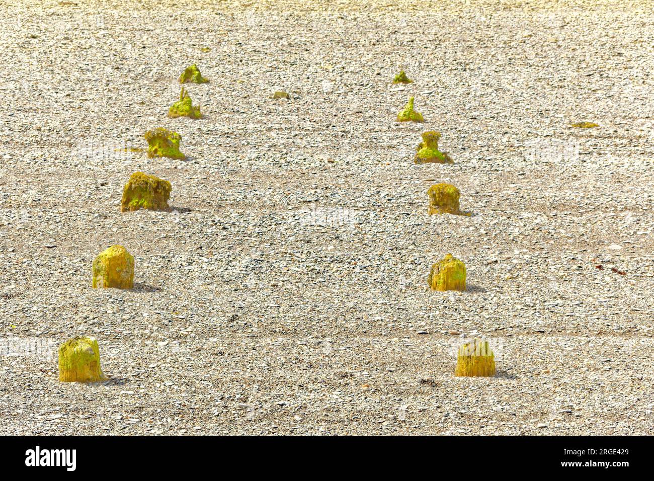 Tide markers immagini e fotografie stock ad alta risoluzione - Alamy