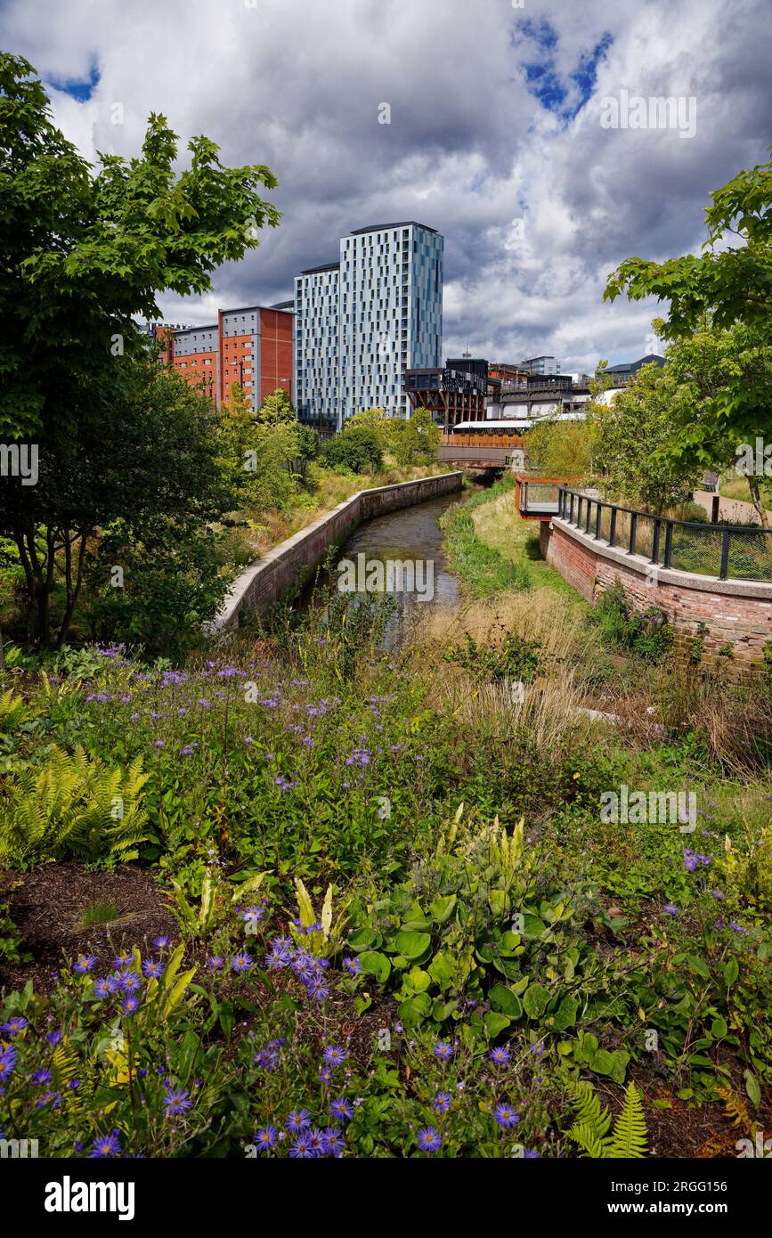 Mayfield park manchester immagini e fotografie stock ad alta ...