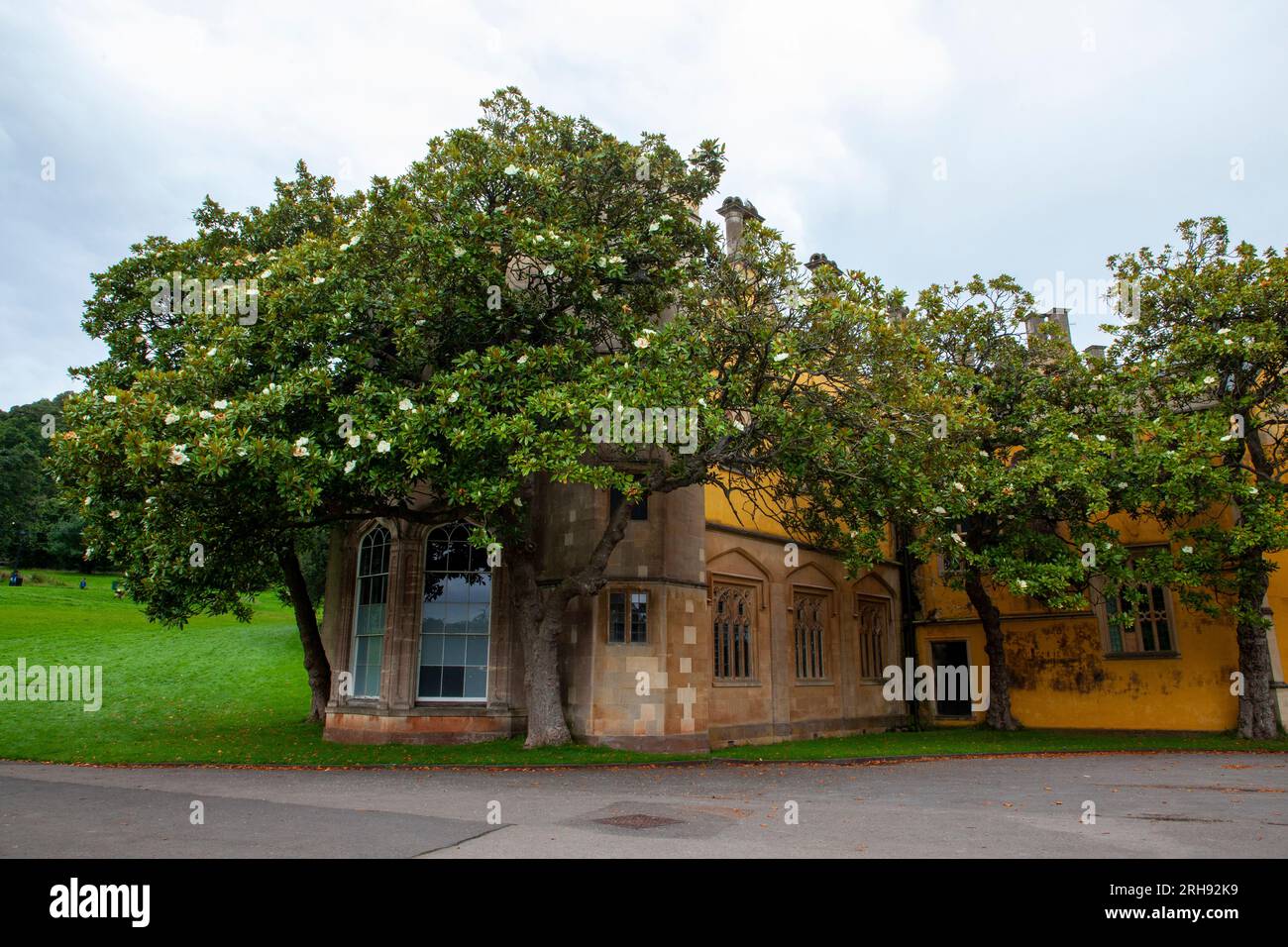 Ashton court house immagini e fotografie stock ad alta risoluzione - Alamy