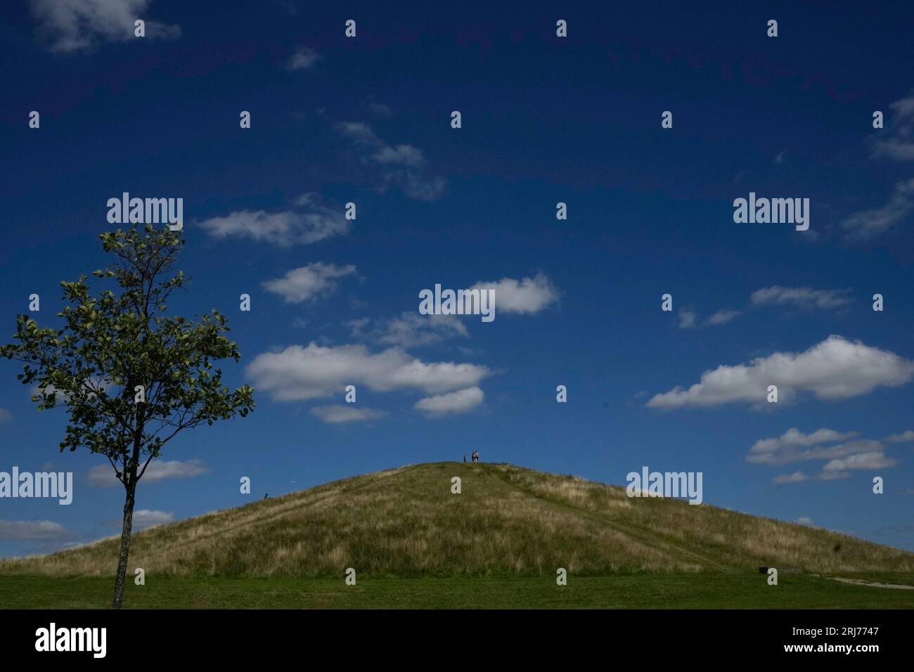 People stand on top of a mound in Northala Fields Country Park in ...