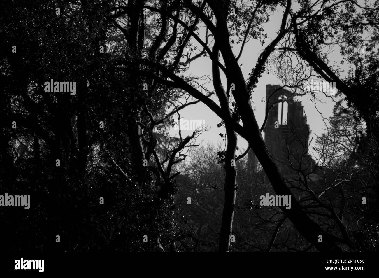 Edgecombe park immagini e fotografie stock ad alta risoluzione - Alamy