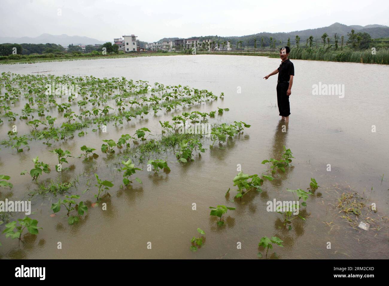 Hochwasser hochwasser hochwasser hochwasser immagini e fotografie stock ...