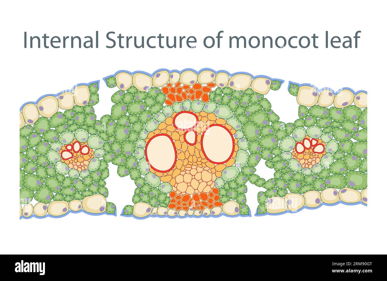 Sistemazione interna immagini e fotografie stock ad alta risoluzione ...