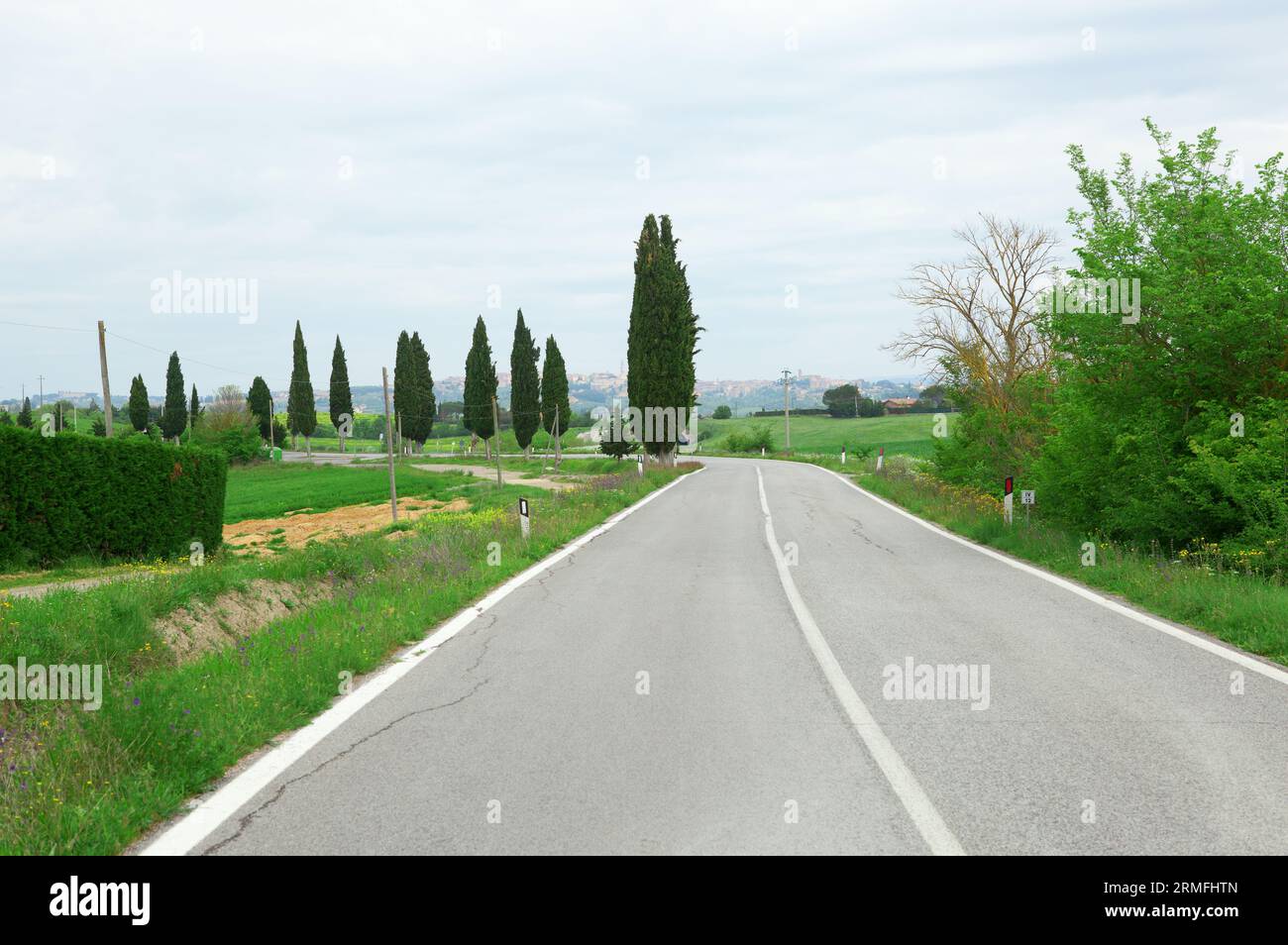 Cipressi in toscana immagini e fotografie stock ad alta risoluzione - Alamy