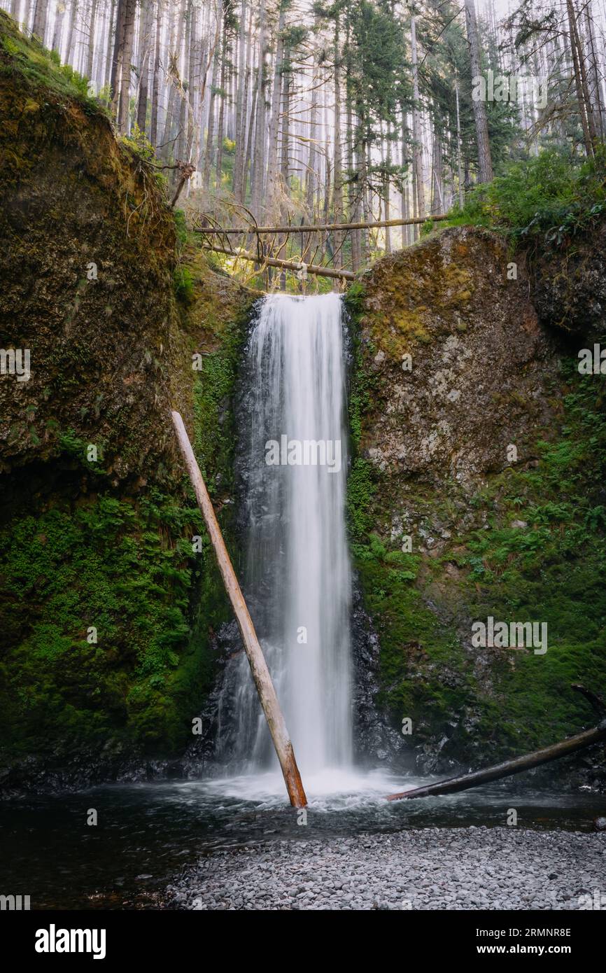 Ecola creek immagini e fotografie stock ad alta risoluzione - Alamy