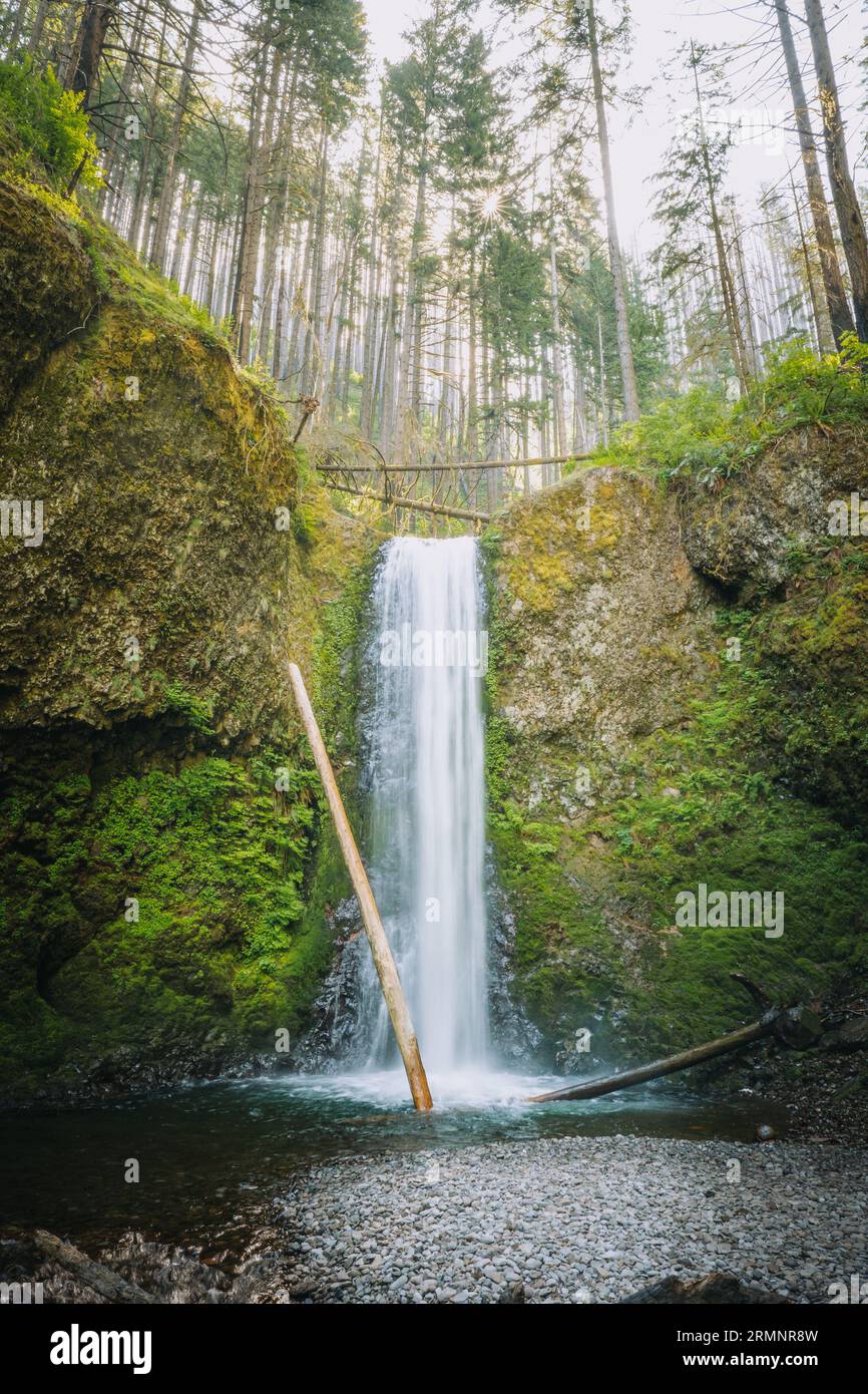 Ecola creek immagini e fotografie stock ad alta risoluzione - Alamy