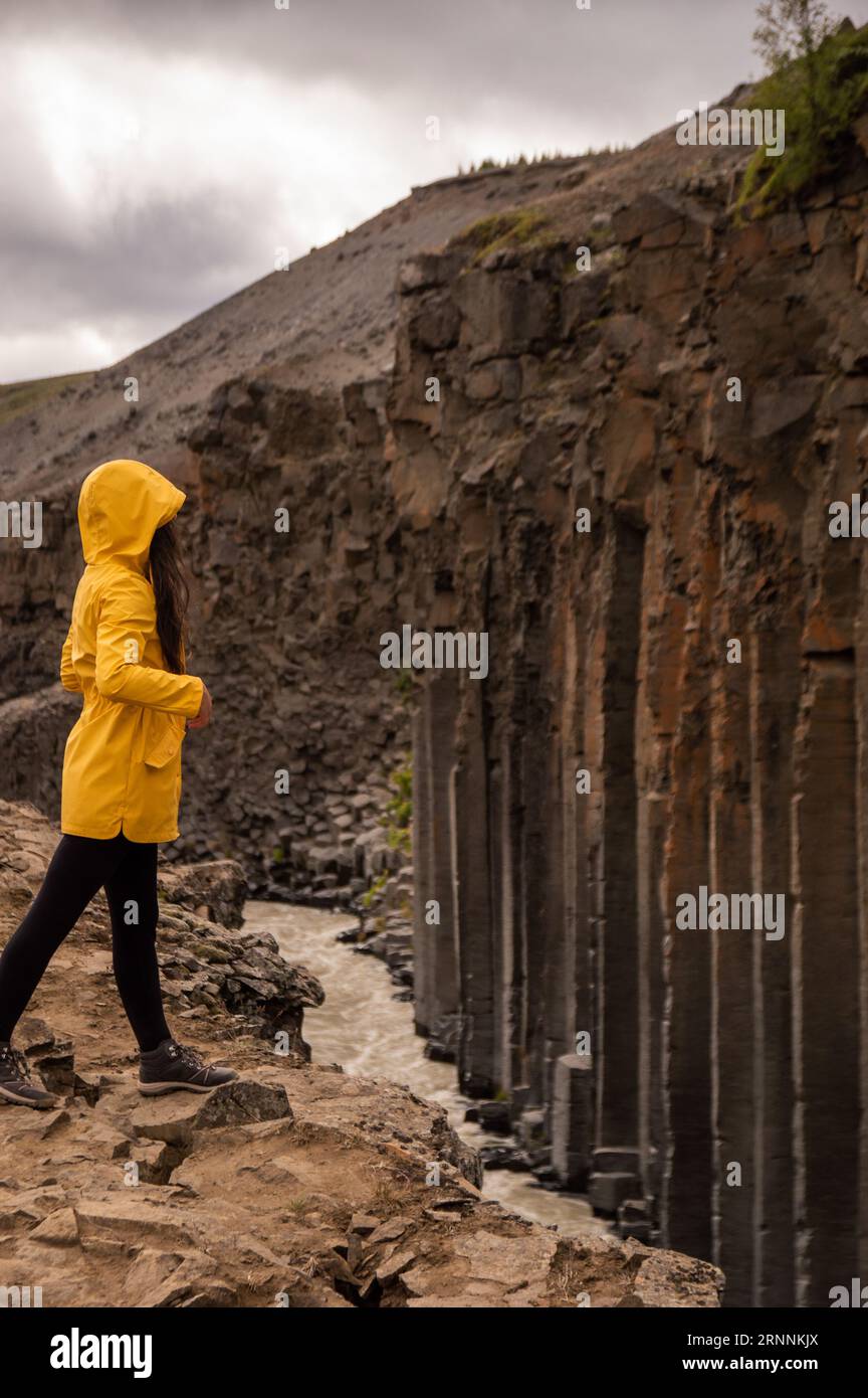 Canyon studlagil immagini e fotografie stock ad alta risoluzione - Alamy