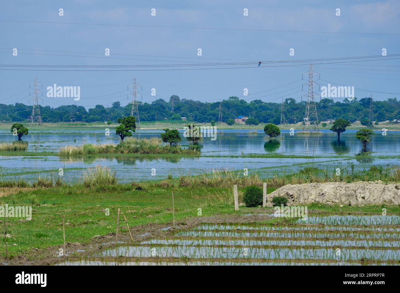 Monsone indiano immagini e fotografie stock ad alta risoluzione - Alamy