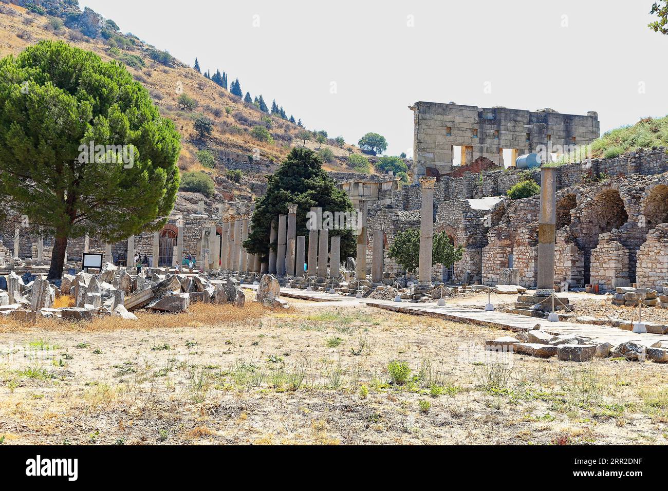 Vergine occidentale immagini e fotografie stock ad alta risoluzione - Alamy