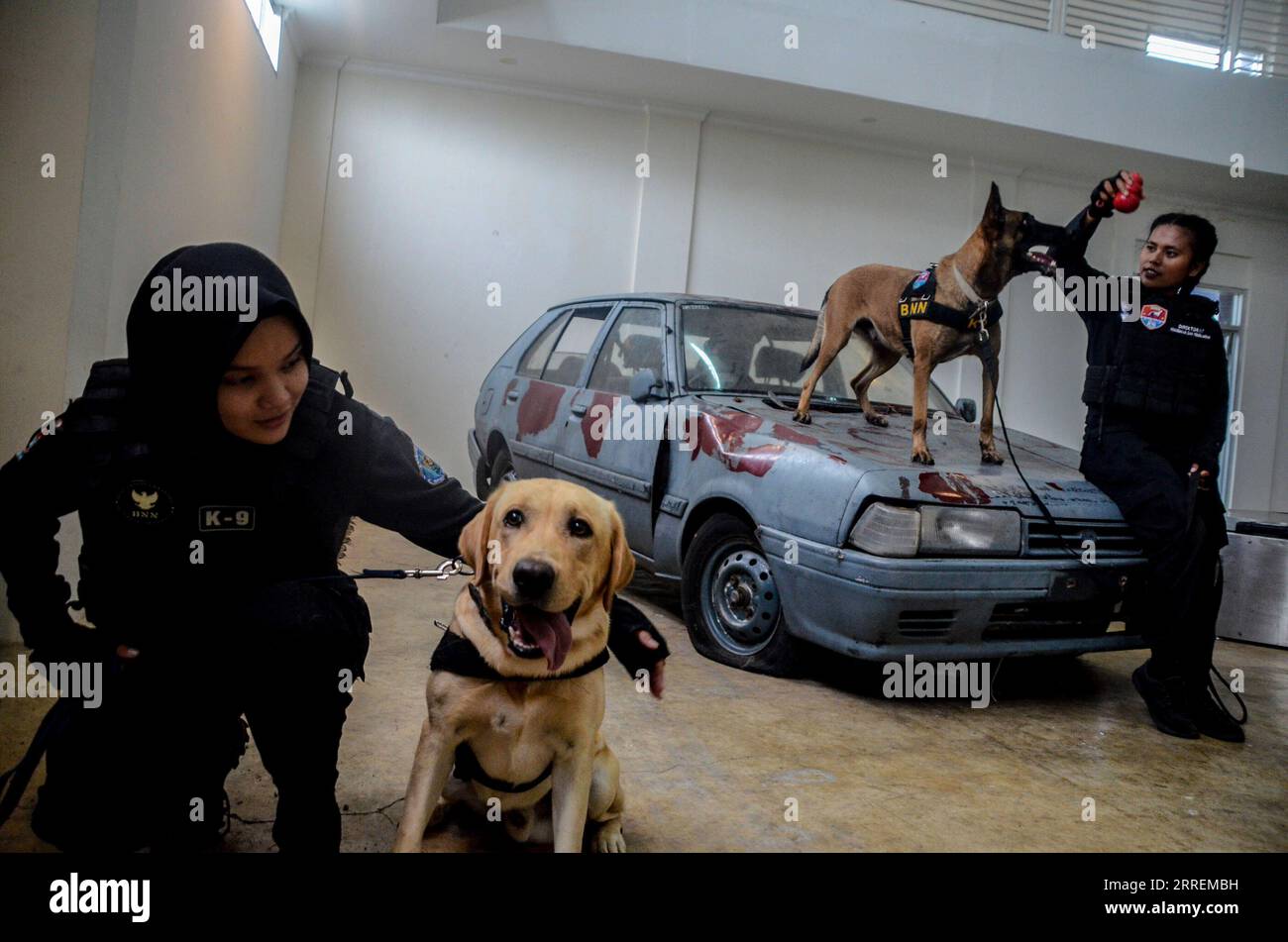 L'agenzia nazionale narcotici immagini e fotografie stock ad alta ...