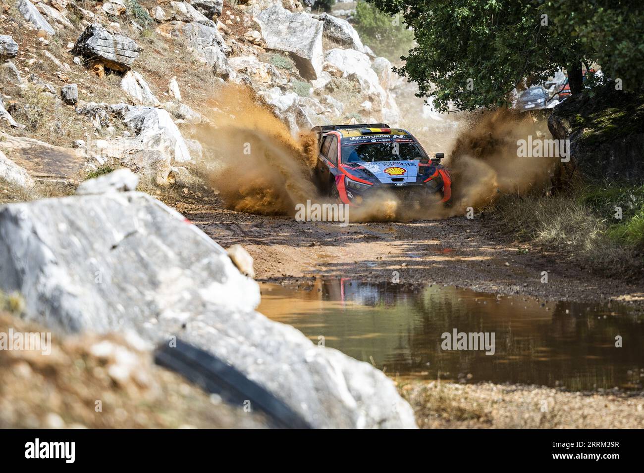 11 Thierry NEUVILLE (BEL), Martijn WYDAEGHE (BEL), HYUNDAI SHELL MOBIS ...