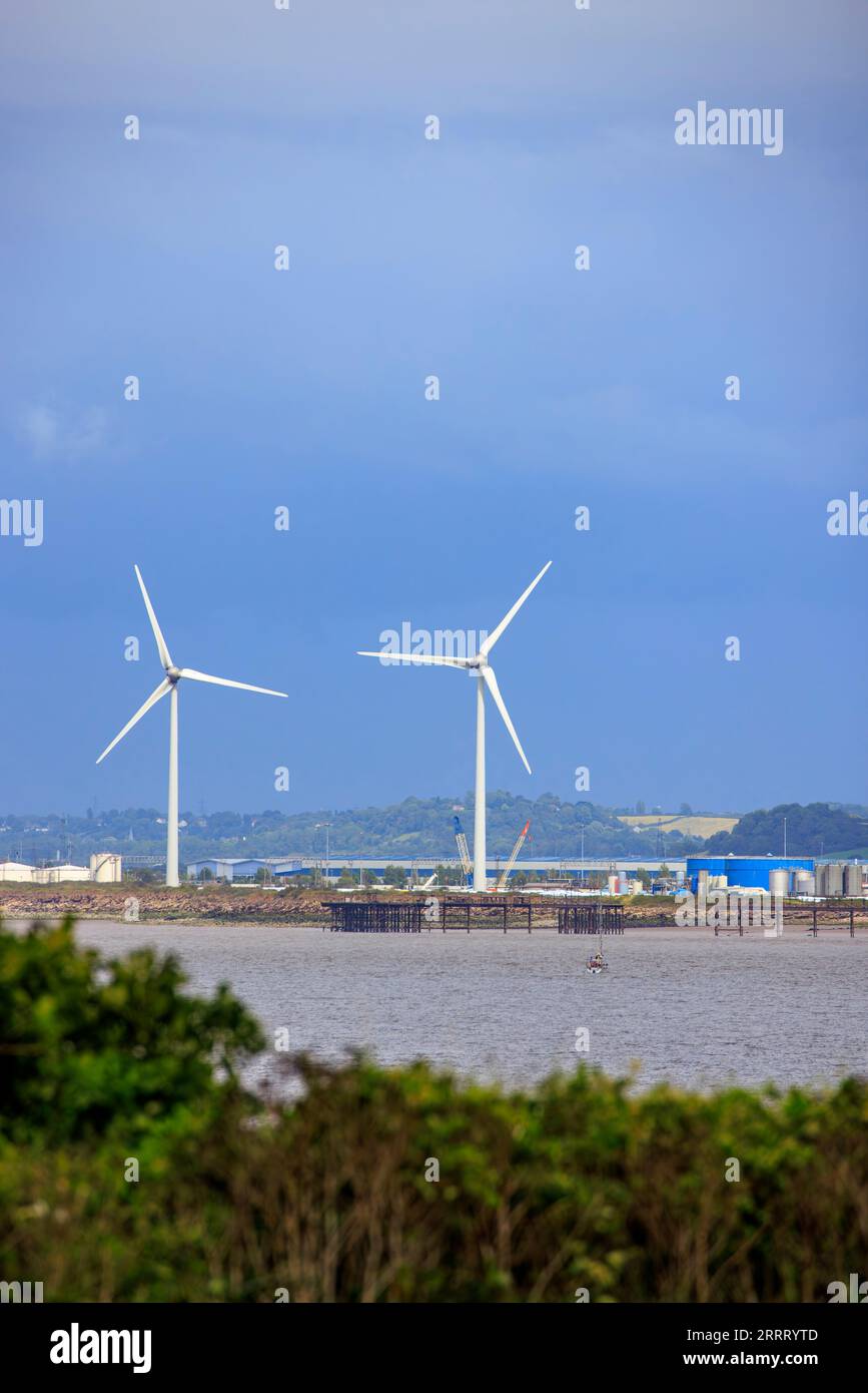 Alberi e pale di turbine eoliche immagini e fotografie stock ad alta ...