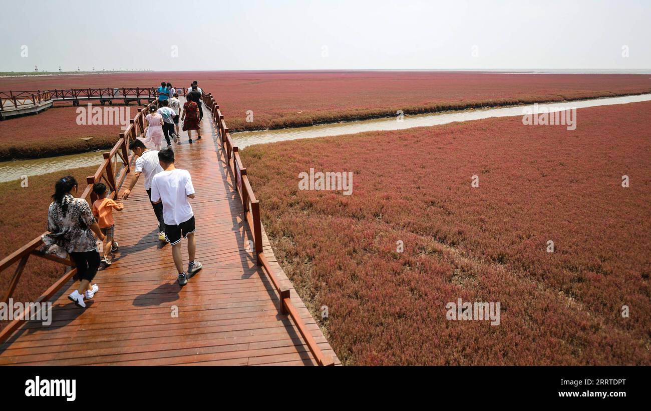 Red beach, panjin, china immagini e fotografie stock ad alta ...