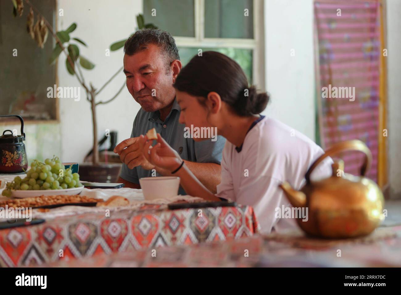 Alleva le pecore immagini e fotografie stock ad alta risoluzione - Alamy