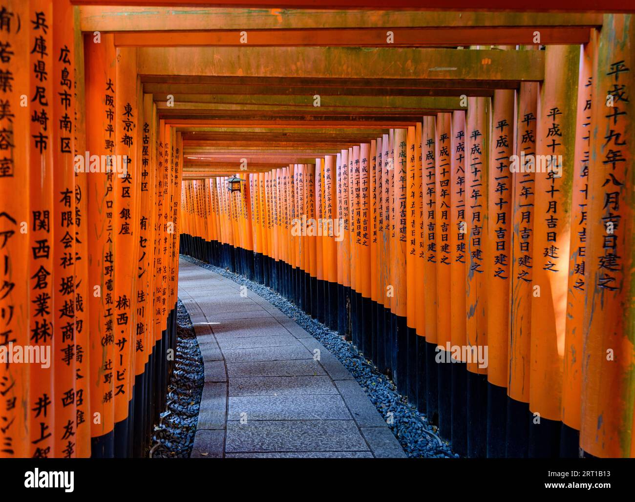 Torii gates fushimi immagini e fotografie stock ad alta risoluzione - Alamy
