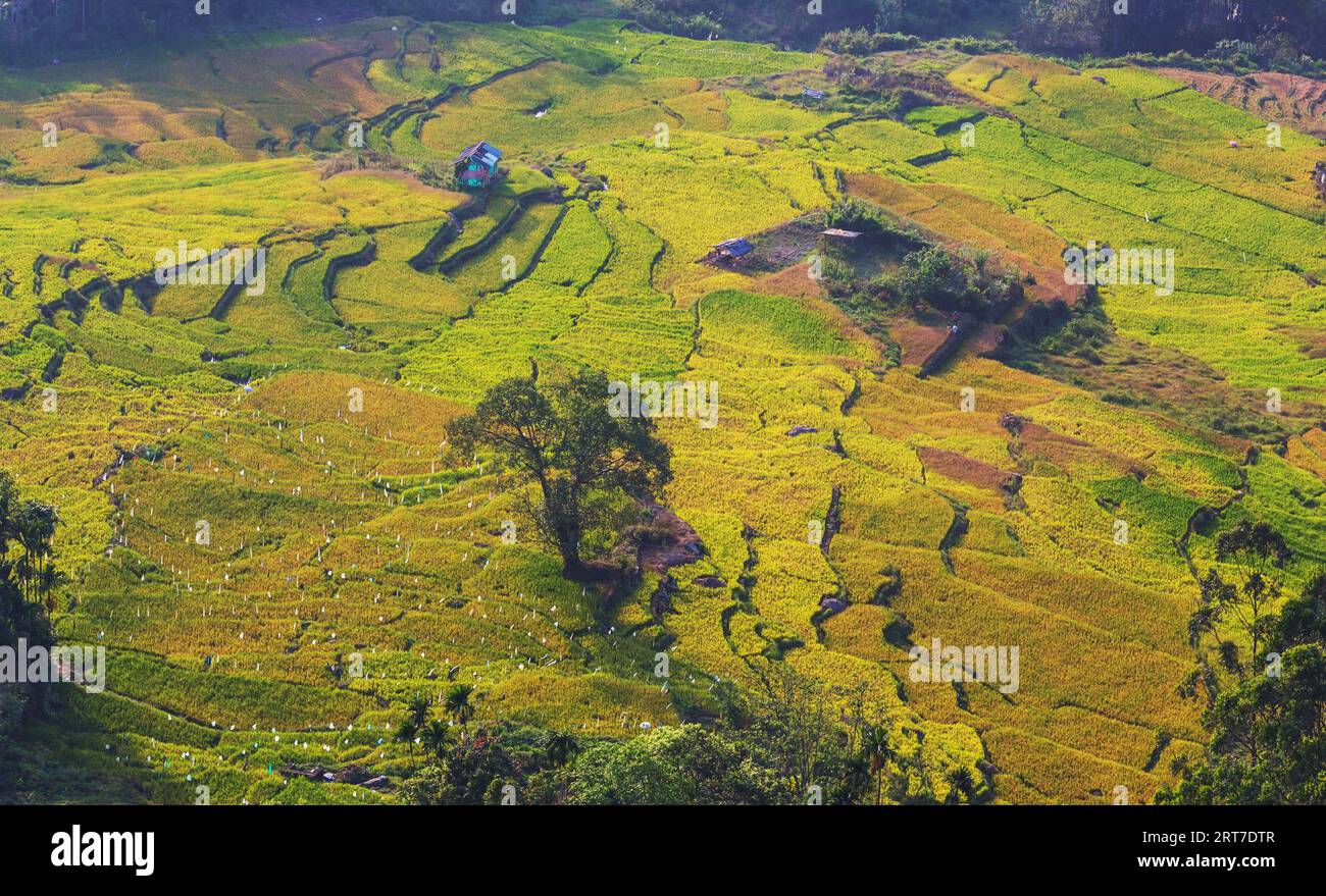 Sri lanka laos immagini e fotografie stock ad alta risoluzione - Alamy