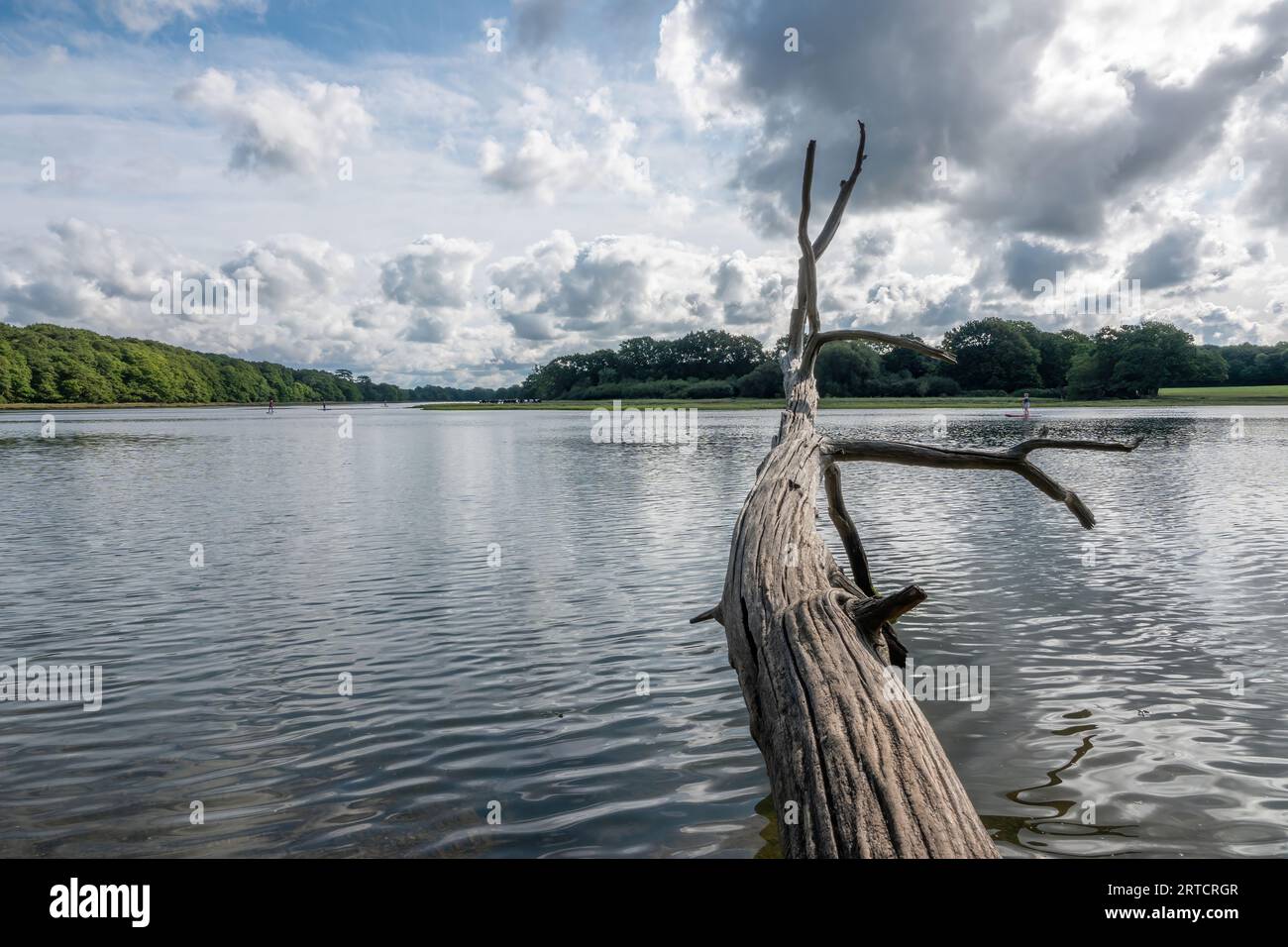 Hms cricket immagini e fotografie stock ad alta risoluzione - Alamy